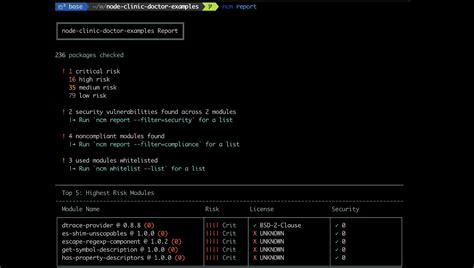 unleashing the power of ncm safeguarding node js applications with