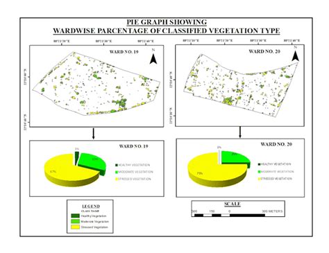Prepare Cartography Using Satellite Data By Subhammajhi365 Fiverr