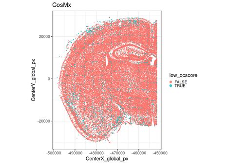25 Workflow Cosmx Orchestrating Spatial Transcriptomics Analysis