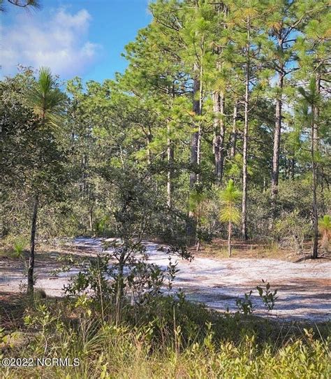 168 Acres 0000 Old Georgetown Road Shallotte Nc 28470 Land And Farm