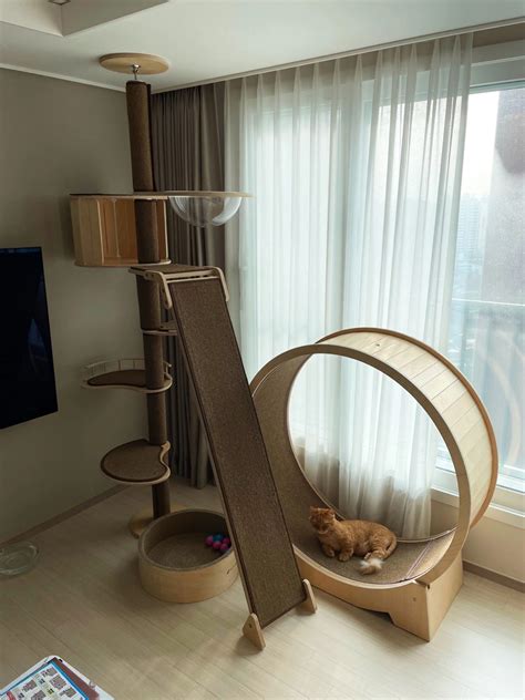고양이 캣타워 캣휠 사용 기 당근 중고거래