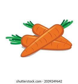 Three Carrots Vegetable Illustration On White Stock Vector Royalty