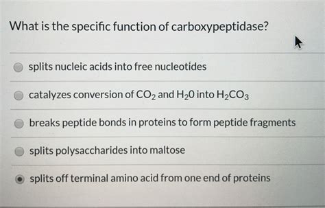 Solved What Is The Specific Function Of Carboxypeptidase