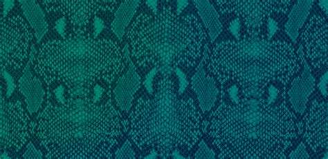 Anaconda Announcing Anaconda Distribution 201910