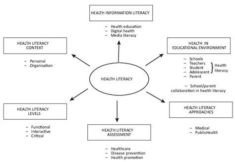 The Conceptual Framework Of Health Literacy Terminology A Scheme Drawn Download Scientific