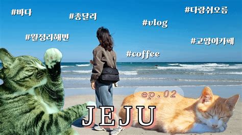 나혼자 가을 제주 여행 🍊vlogㅣep02ㅣ4박5일ㅣ뚜벅이ㅣ동쪽제주ㅣ카페투어ㅣ다랑쉬오름ㅣ월정리해변ㅣ카페구할구아녜스의앞치마종달리엔심야식당어떤날 게스트하우스