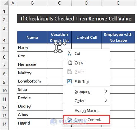 What Can You Do With Cell Value If Checkbox Is Checked In Excel Methods