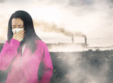 Health Effects Of Particulate Matter