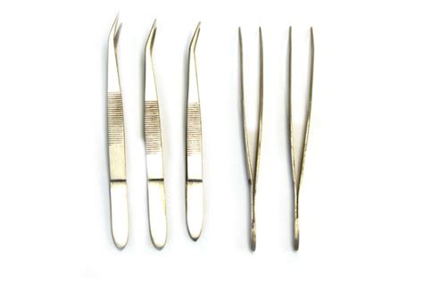 Beauty Battle Forceps Vs Tweezers For Grooming And Shaping Nghia