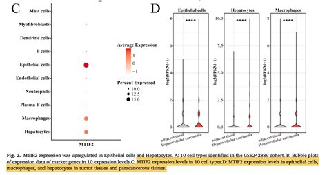 单细胞水平看指定基因的表达量差异情况 生信菜鸟团