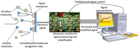 Biosensors Electrochemical Devices—general Concepts And Performance
