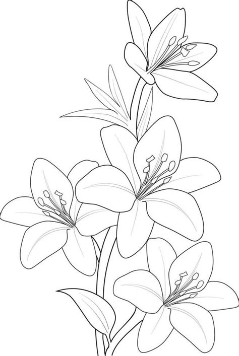 Hand Drawn Lily Flower Bouquet Vector Sketch Illustration Engraved Ink Art Botanical Leaf B