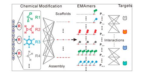 Ensemble Modified Aptamer Based Pattern Recognition For Adaptive Target Identification Nano