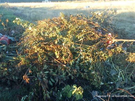 Нерегламентирано или регламентирано общинско сметище РепорТИ за Казанлък