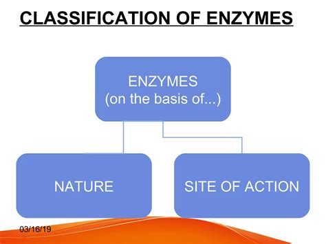 Enzyme An Introduction Ppt