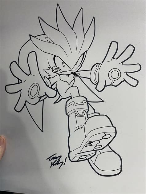 Pin By Osiris Ferreira On Sonic 😉🤙 In 2025 Sonic Art Hedgehog Art