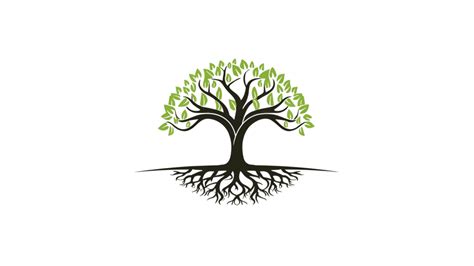 Tree Logo Pngs For Free Download
