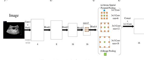 Figure 1 From Follicular Ultrasound Image Segmentation Based On