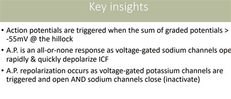 Biology 40 B Hyperpolarizing Graded Potentials Can Be Caused By