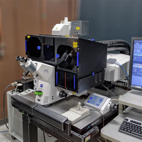 Confocal Microscope Zeiss At Tanner Troy Blog