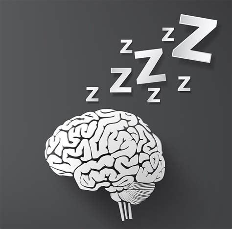 How The Brain Controls Sleep
