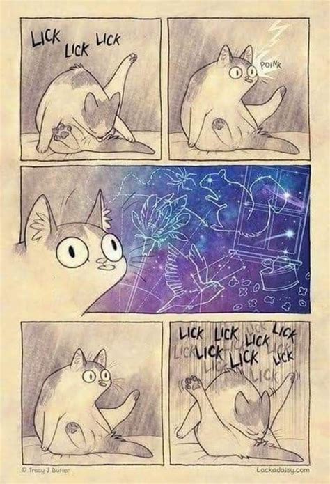 Lick Lick Lick 9gag