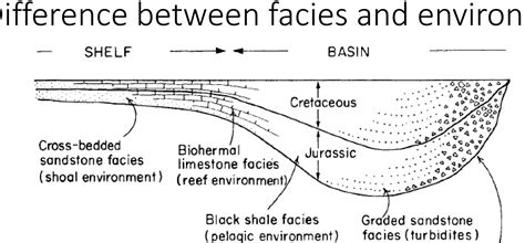 Figure 12 Sedimentary Environment Sedimentary Facies And