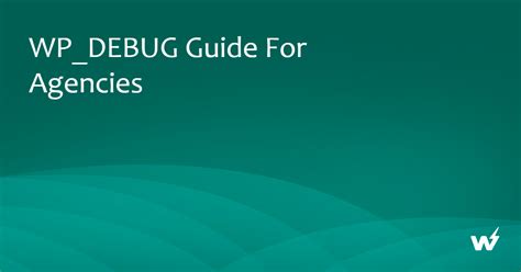 Wpdebug Guide For Agencies Instawp