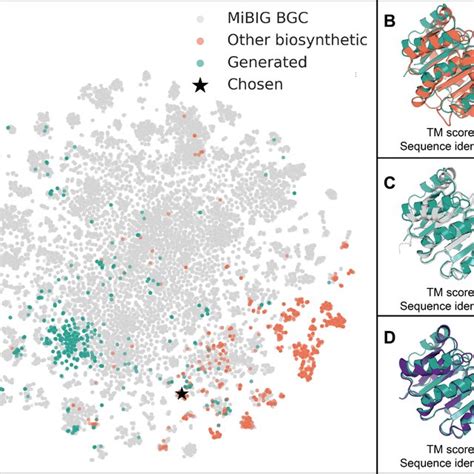 Unconditionally Generated Protein Sequences Close To Natural Sequences