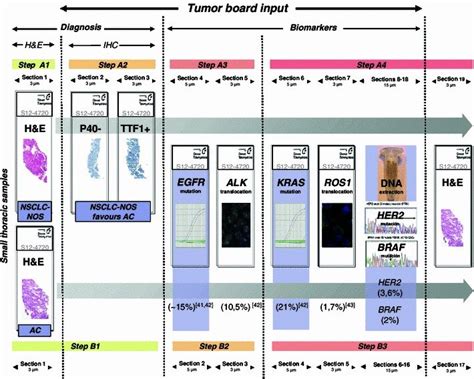 A Realistic Approach For Sample Prioritization For The Study Of Download Scientific Diagram