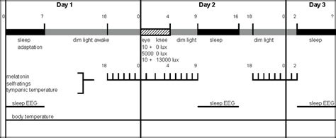 Timetable Of The Experiment Download Scientific Diagram