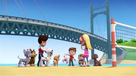 Paw Patrol Season 1 Episode 3 Pups Save The Sea Turtles Pup And The