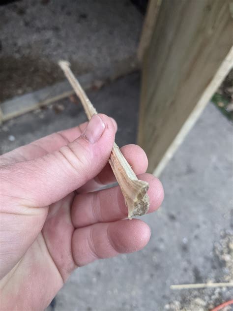 Dremel Multi Max MM40 Oscillating Tool HubPages