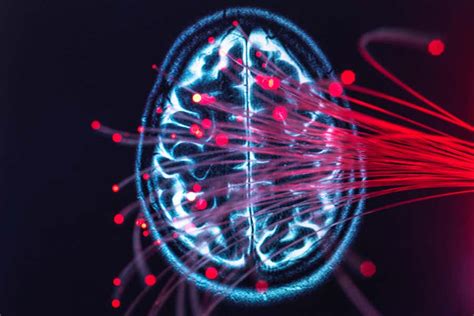 Neuroscientists Are Ignoring The Differences Between Males And Females