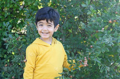 健康的生活方式儿童行走在山区夏季林区。