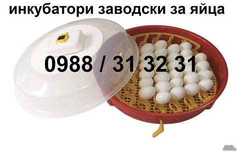 Заводски полуавтоматичен румънски инкубатор за пилета. Инкубатори за ...