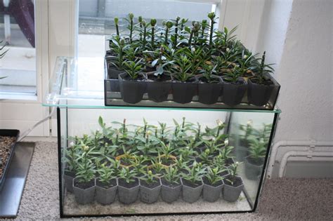 Img E931  Free Image Hosting Service