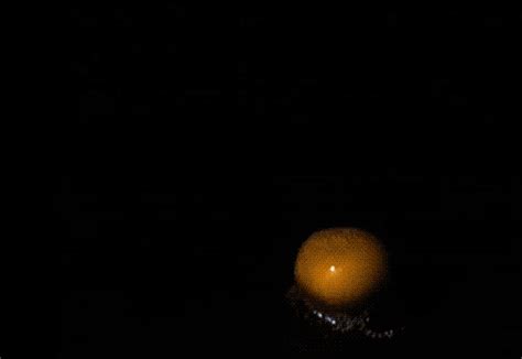 popcorn kernel is evolving on imgur