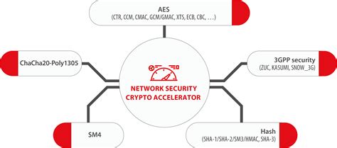 Network Security Crypto Accelerator