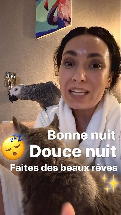 ДОБРАНІЧ 3 ФРАЗИ ФРАНЦУЗЬКОЮ урокифранцузької французькамова французькаонлайн Youtube