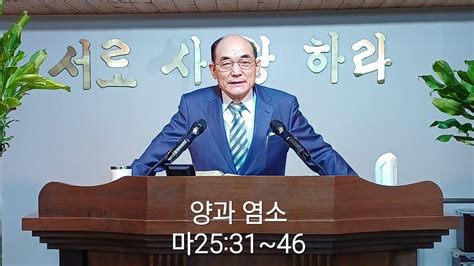 양과 염소 Youtube