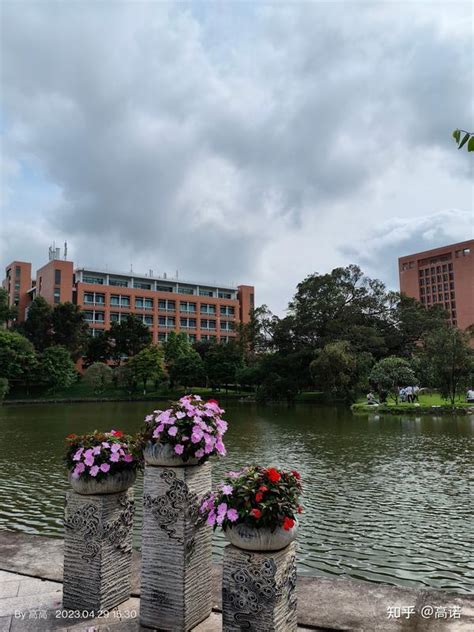 华南理工大学大学城校区几十张亲手拍摄的图片超好看 知乎