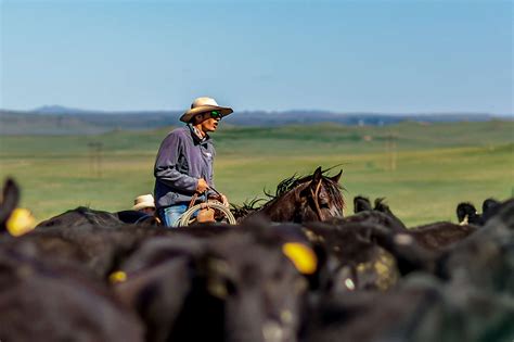 Séjour Au Kara Creek Ranch De Travail Au Wyoming Usa