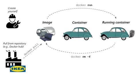 Datascience Neuroimaging Docker Renee Ng