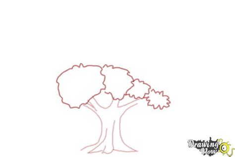 How To Draw A Realistic Tree