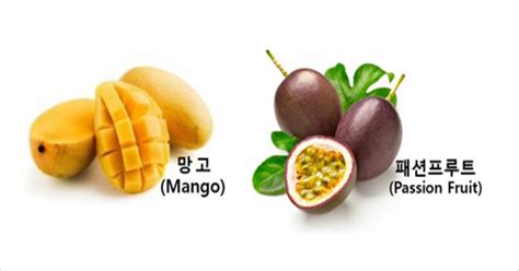 롯데칠성음료 립톤 아이스티 망고 패션프루트 출시