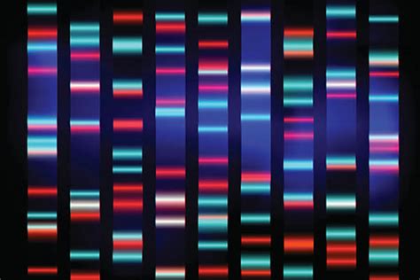 Gene Copy Number Analysis Lifeasible