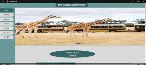 ssm php node python野生动物救助信息管理系统 CSDN博客