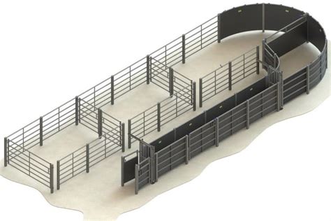 Fixed Cattle Handling Systems Cattle Handling IAE Agriculture Cattle Ranching Cattle