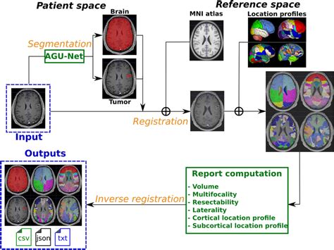 Overall Segmentation And Standardized Report Generation Pipeline The